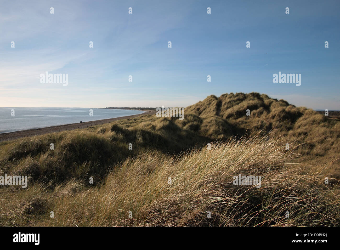 Sand dunes on Littlehampton beach coast England UK Stock Photo - Alamy
