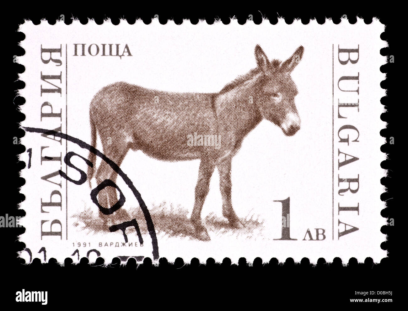 Postage stamp from Bulgaria depicting a domesticated farm animal ...
