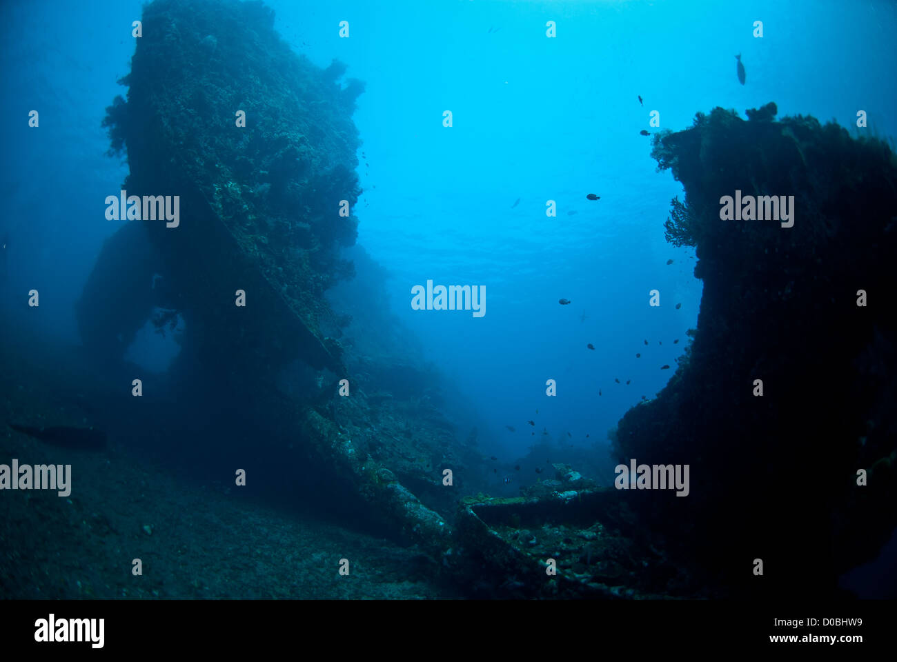 View stern uss liberty shipwreck hi-res stock photography and images ...