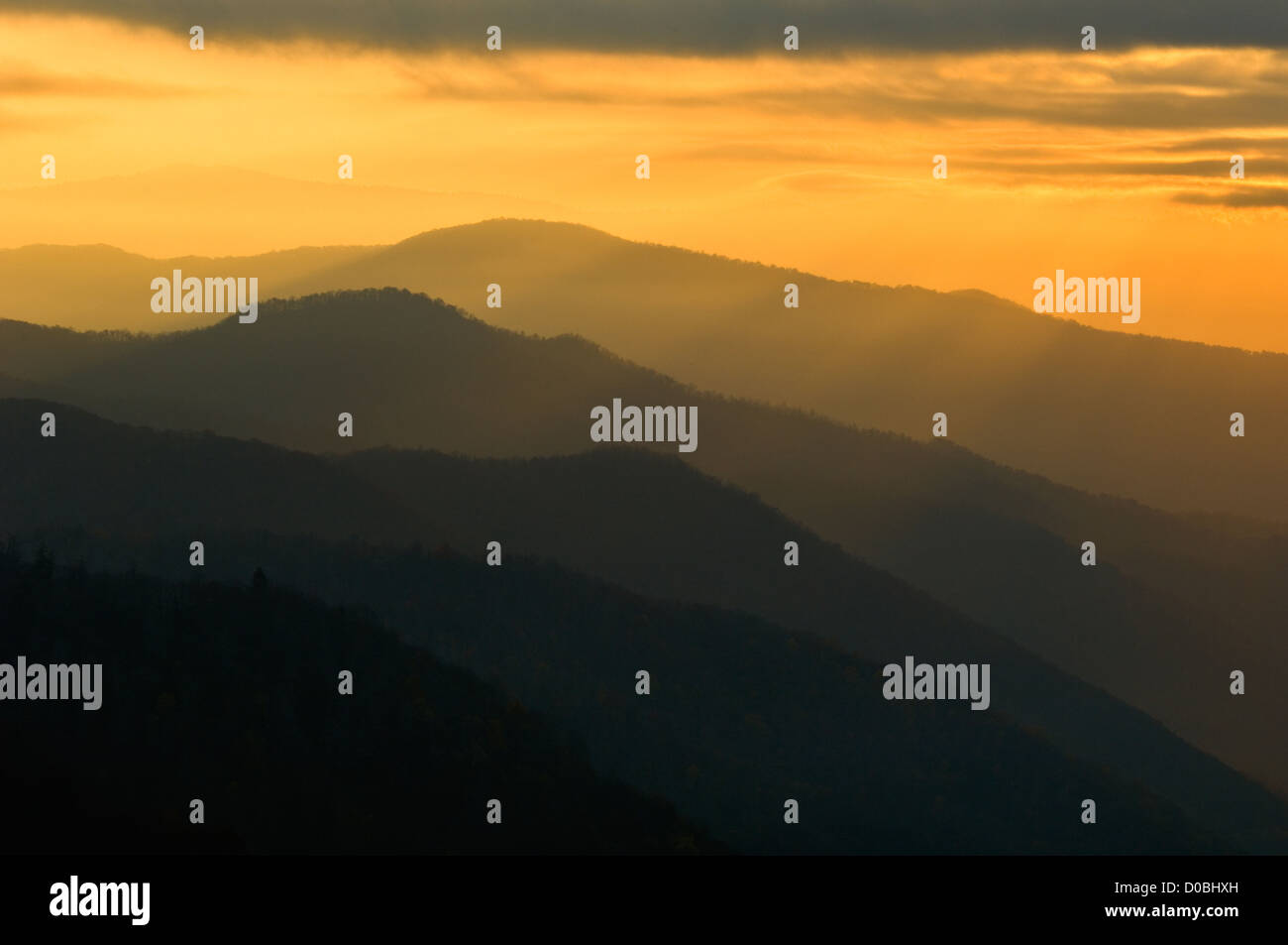 Sunrise Above Stacked Ridges at Newfound Gap in the Great Smoky ...