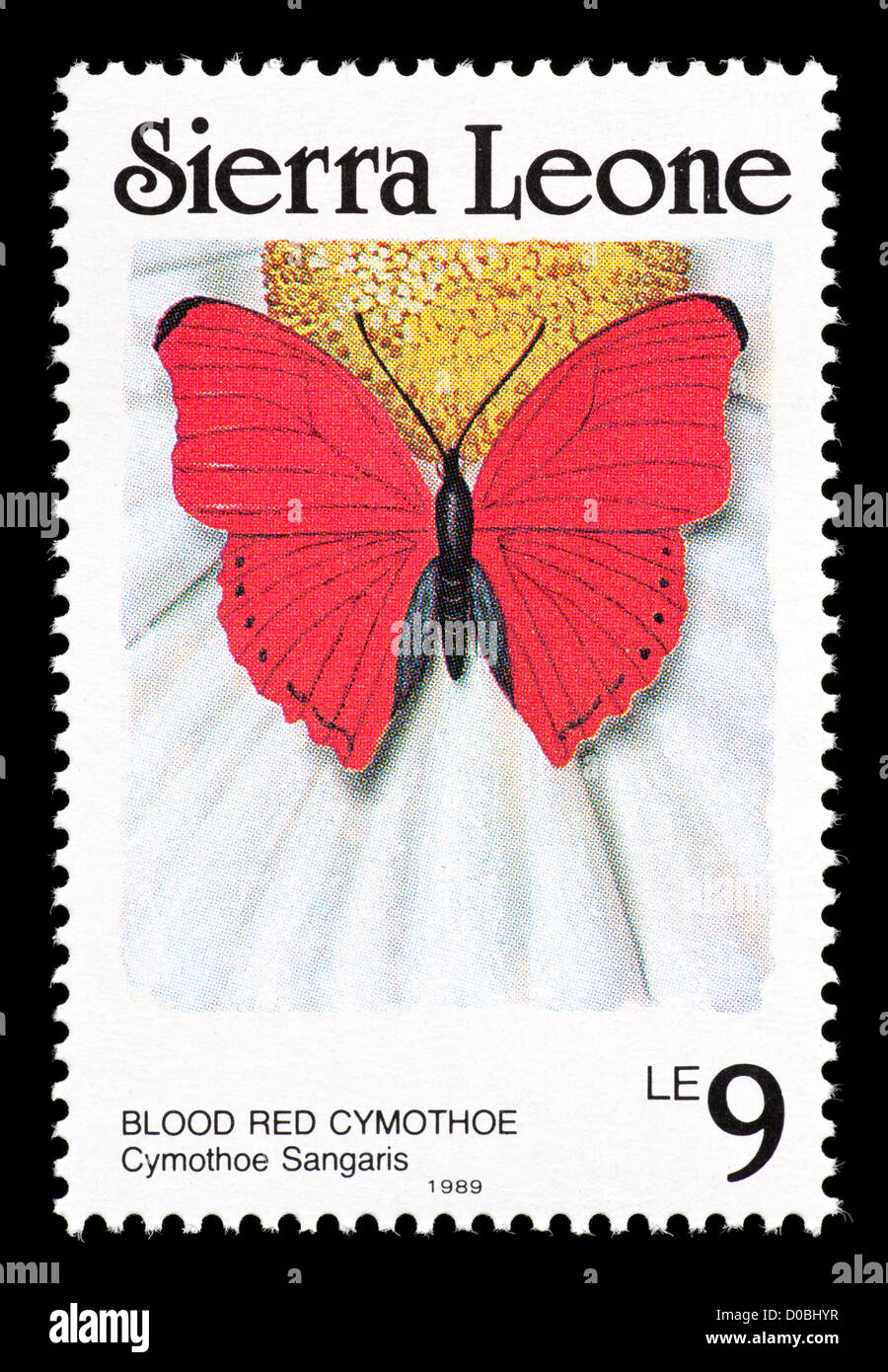 Postage stamp from Sierra Leone depicting a blood red cymothoe ...
