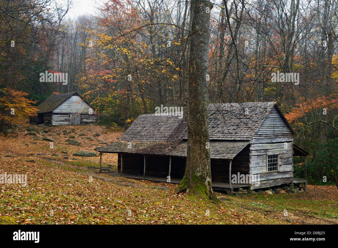 Noah ogle cabin hi-res stock photography and images - Alamy