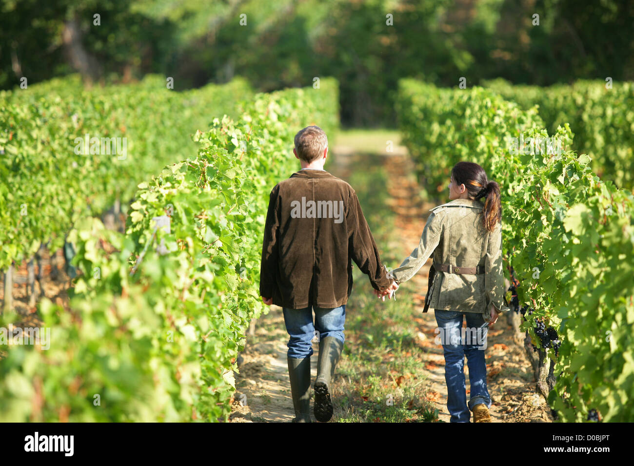Couple walking in between rows of vines Stock Photo - Alamy