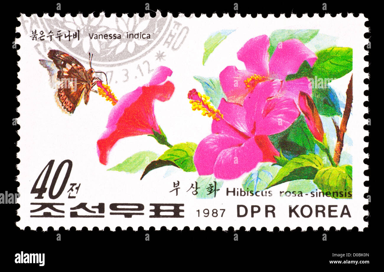 Postage stamp from North Korea depicting an Asian Admiral butterfly ...