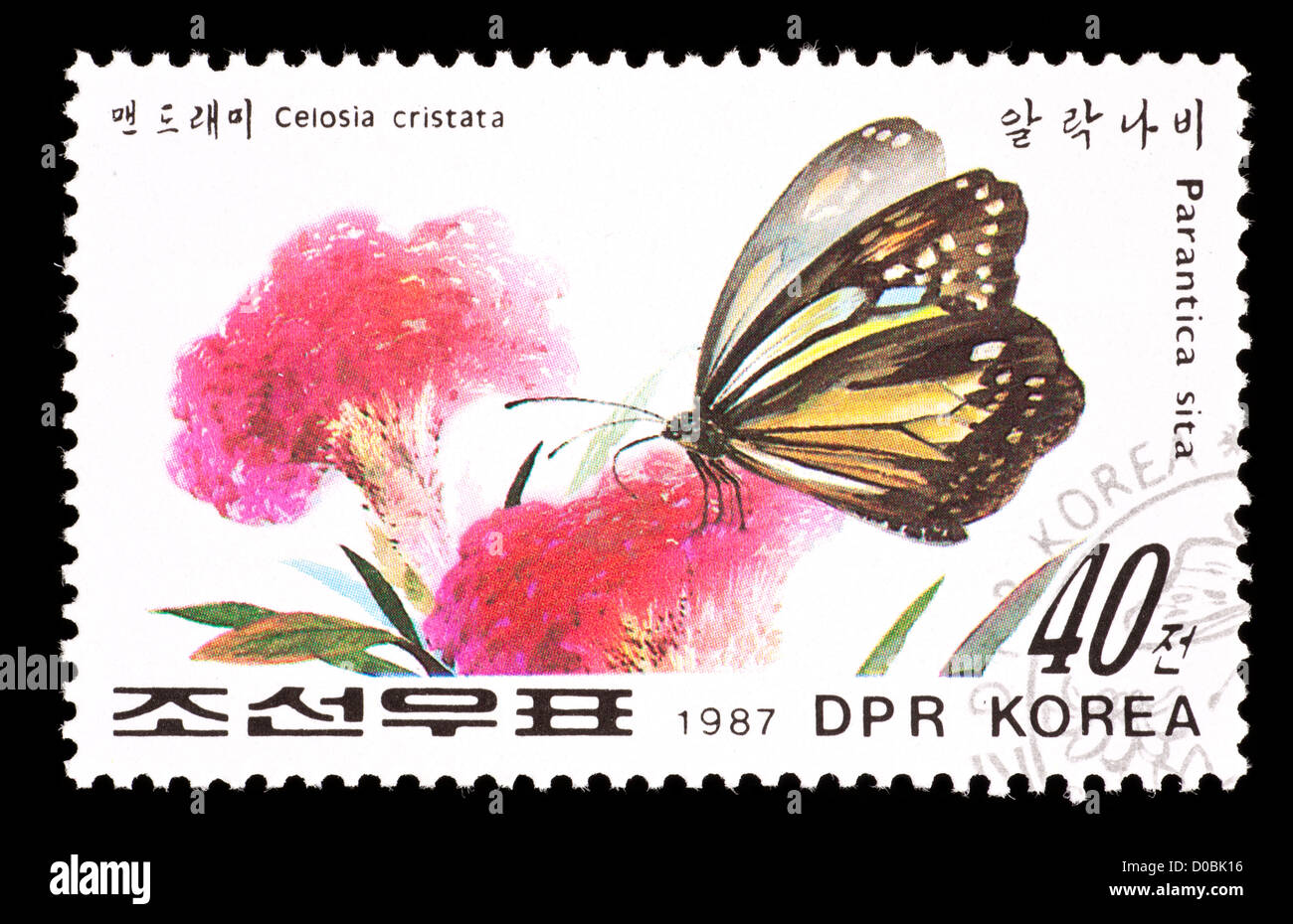 Postage stamp from North Korea depicting a Chestnut Tiger butterfly ...