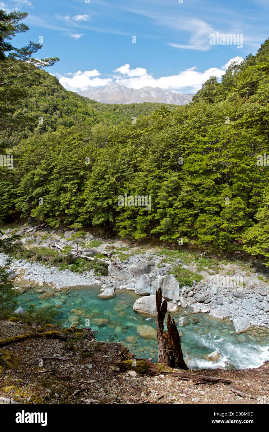 Greenstone new zealand hi-res stock photography and images - Alamy