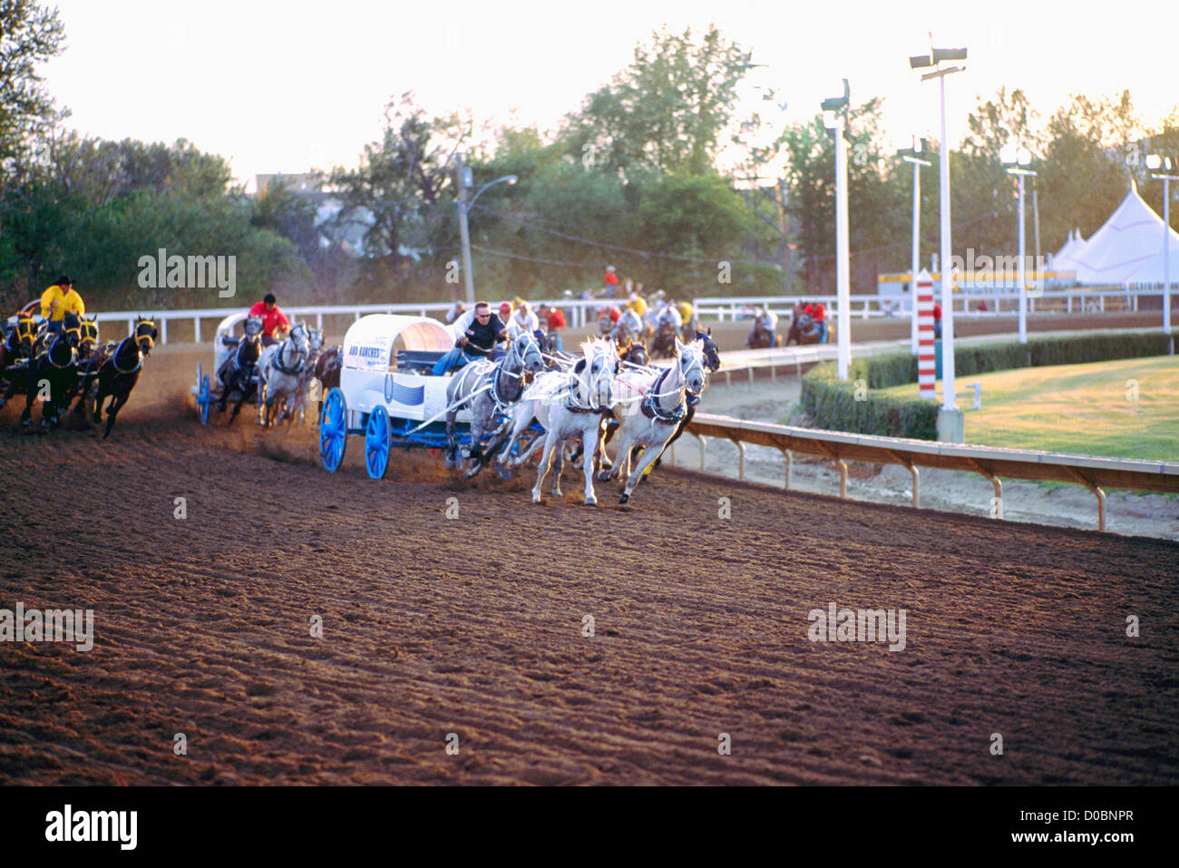 Calgary Stampede, Alberta, Canada - Chuckwagon Race, Cowboys racing ...