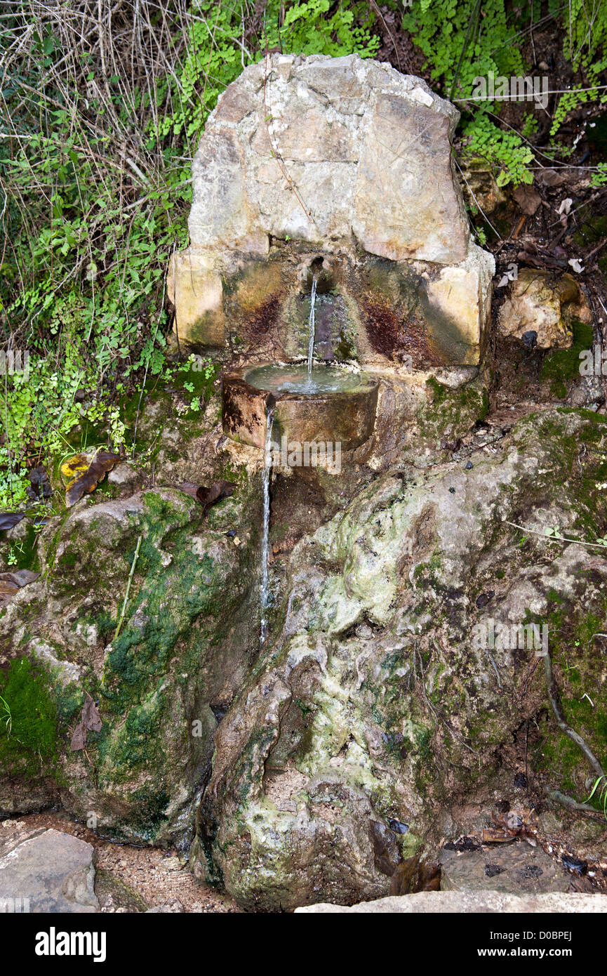 Mountain spring water at the Aphrodite Baths site Cyprus Cypriot ...