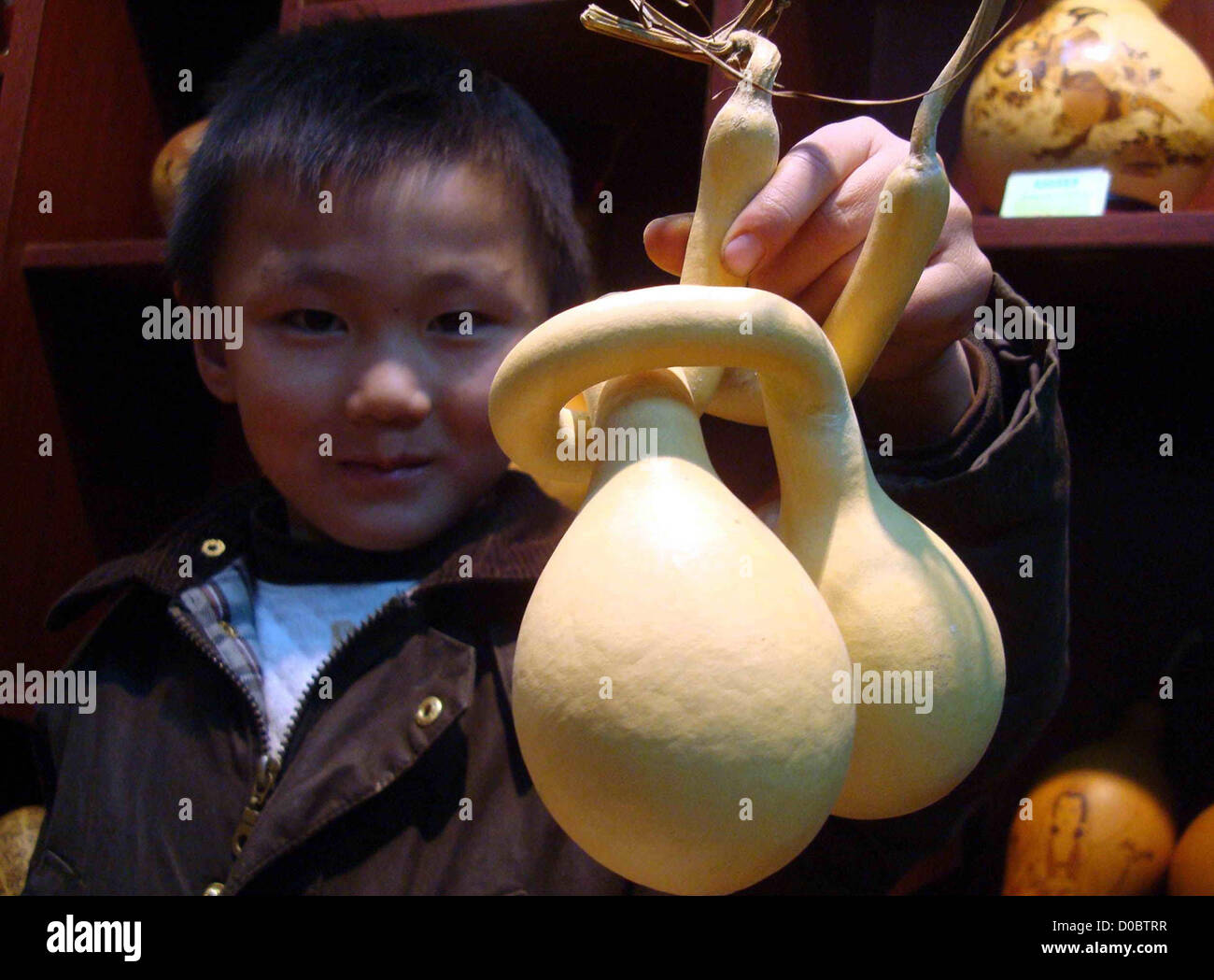 FUNNY SHAPED FRUIT ...A LOAD OF BALLS! A batch of odd shaped gourd ...