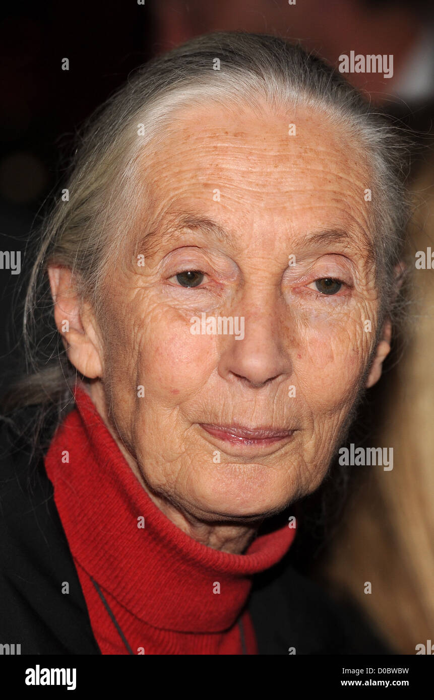 Jane goodall hope 4 apes hi-res stock photography and images - Alamy