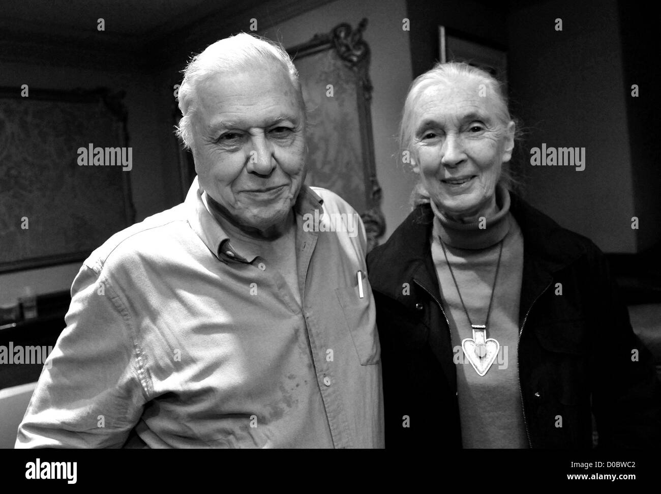 Sir David Attenborough, Jane Goodall Hope 4 Apes held at the Lyceum ...