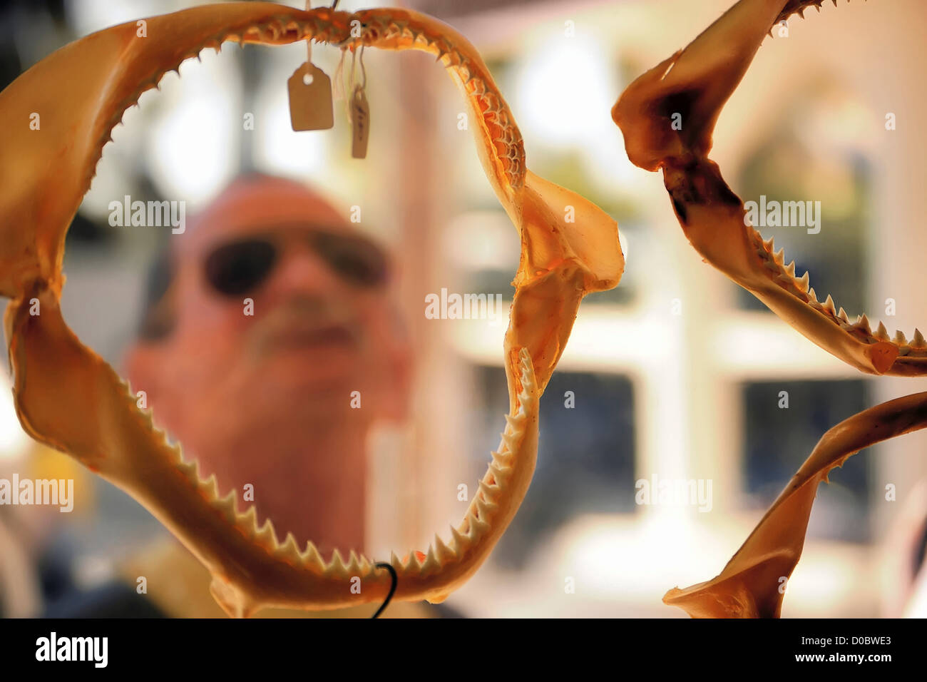 Jaws shark store hi-res stock photography and images - Alamy