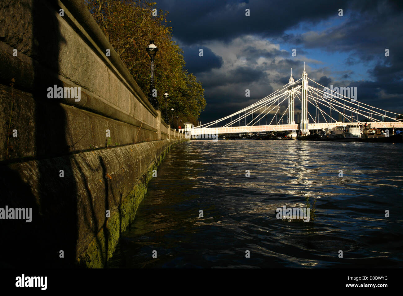 Looking down the River Thames to Albert Bridge at Chelsea Embankment ...