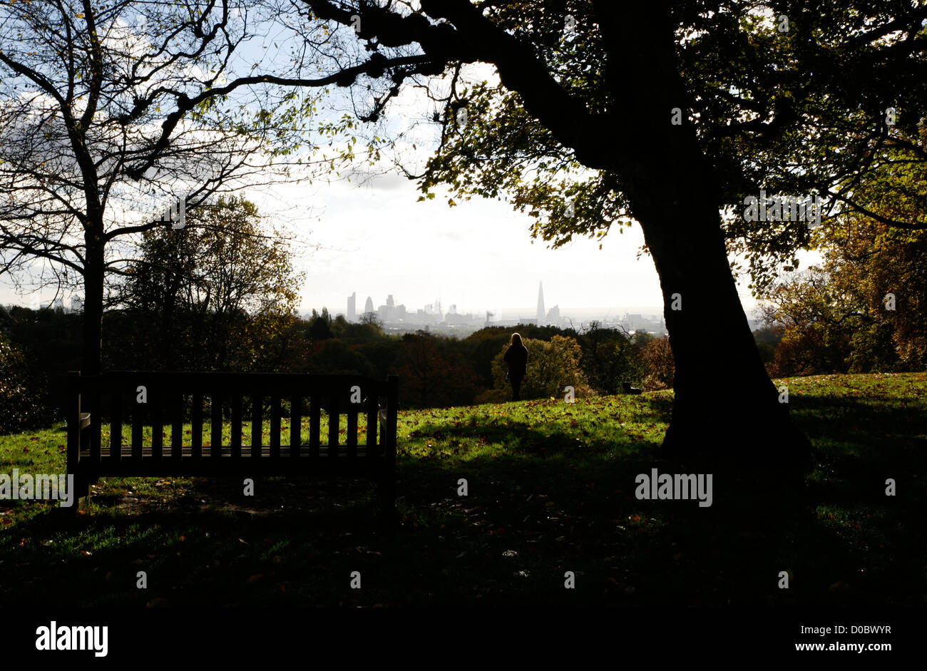 Central London skyline seen from a bench at Stable Field on Hampstead ...