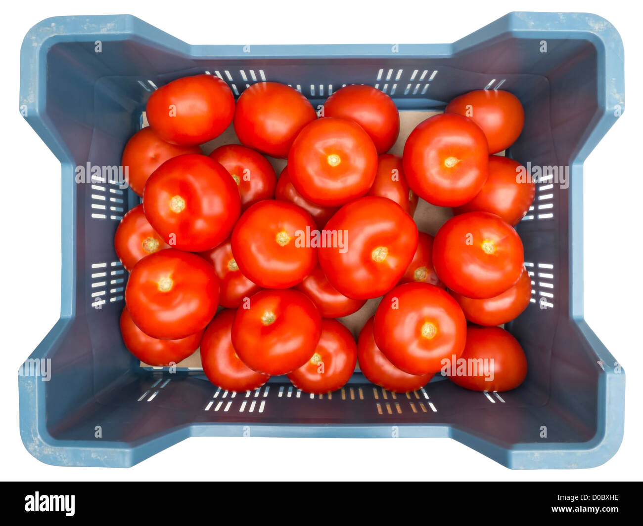 Tomatoes in Crate Stock Photo - Alamy