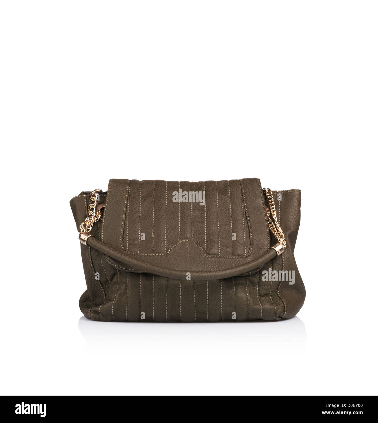 Woman leather handbag on white background with reflection Stock Photo ...