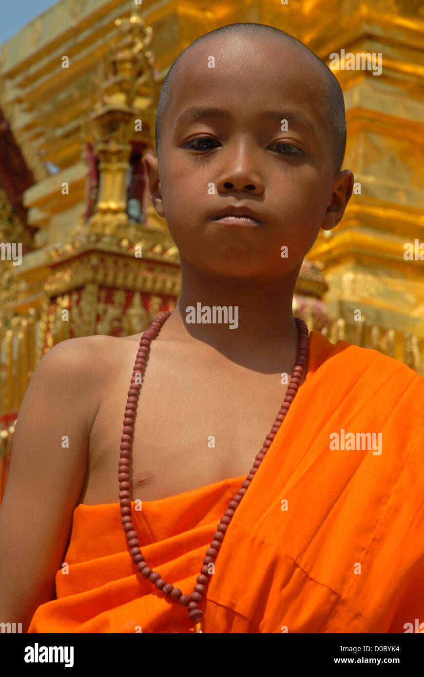 child, monk, Doi Suthep, temple, Sight, Pagoda, Gold,.Chiang Mai ...
