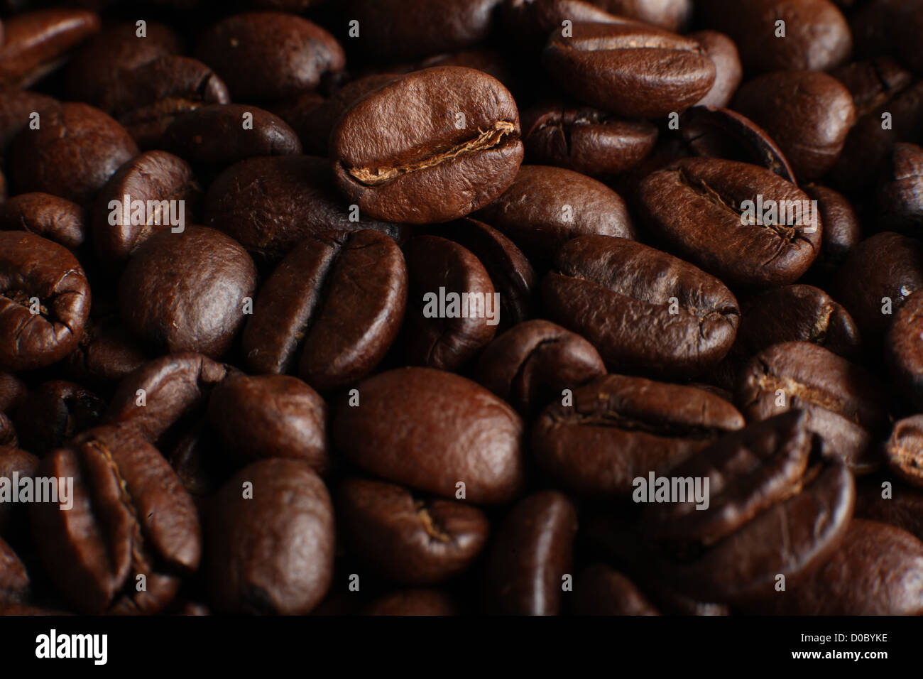 ARABICA COFFEE BEANS Stock Photo - Alamy