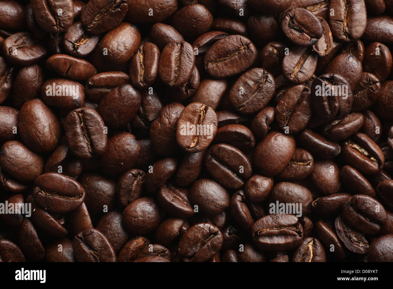 ARABICA COFFEE BEANS Stock Photo - Alamy
