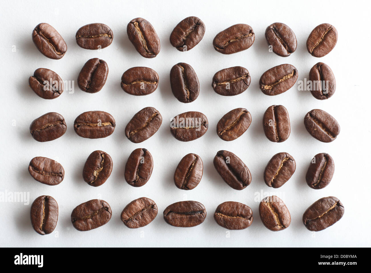 ARABICA COFFEE BEANS ON A WHITE BACKGROUND Stock Photo - Alamy