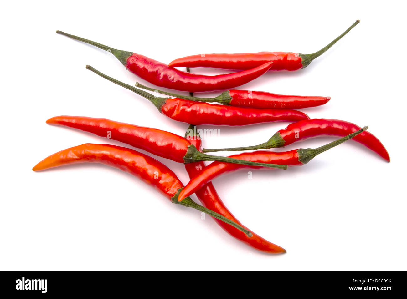 Fresh red chili closeup on white background Stock Photo - Alamy