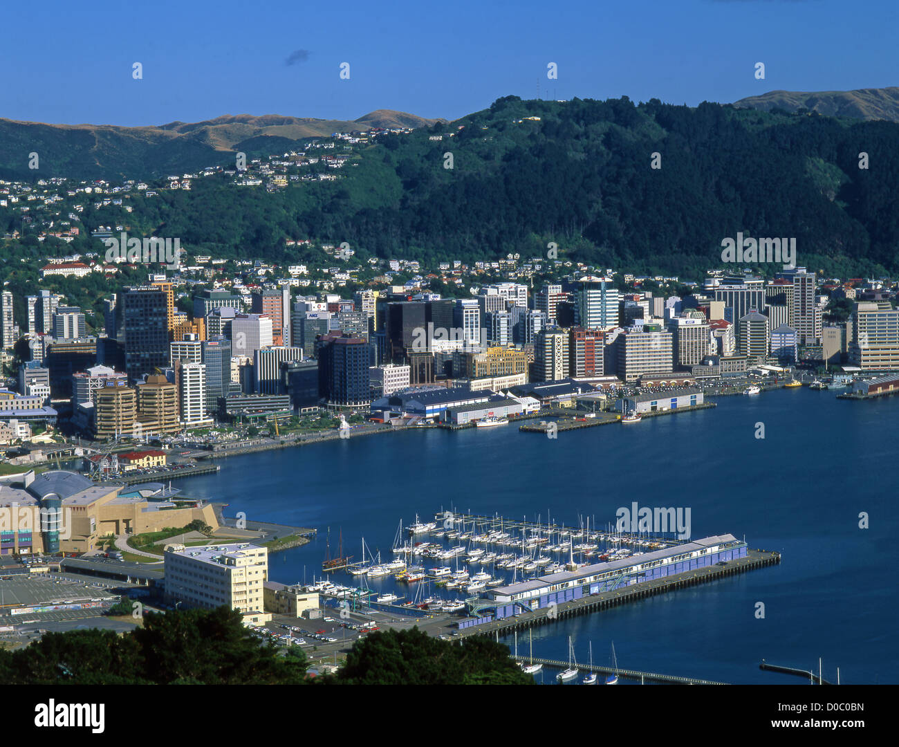 New Zealand, Wellington, harbor, panoramic view Stock Photo - Alamy