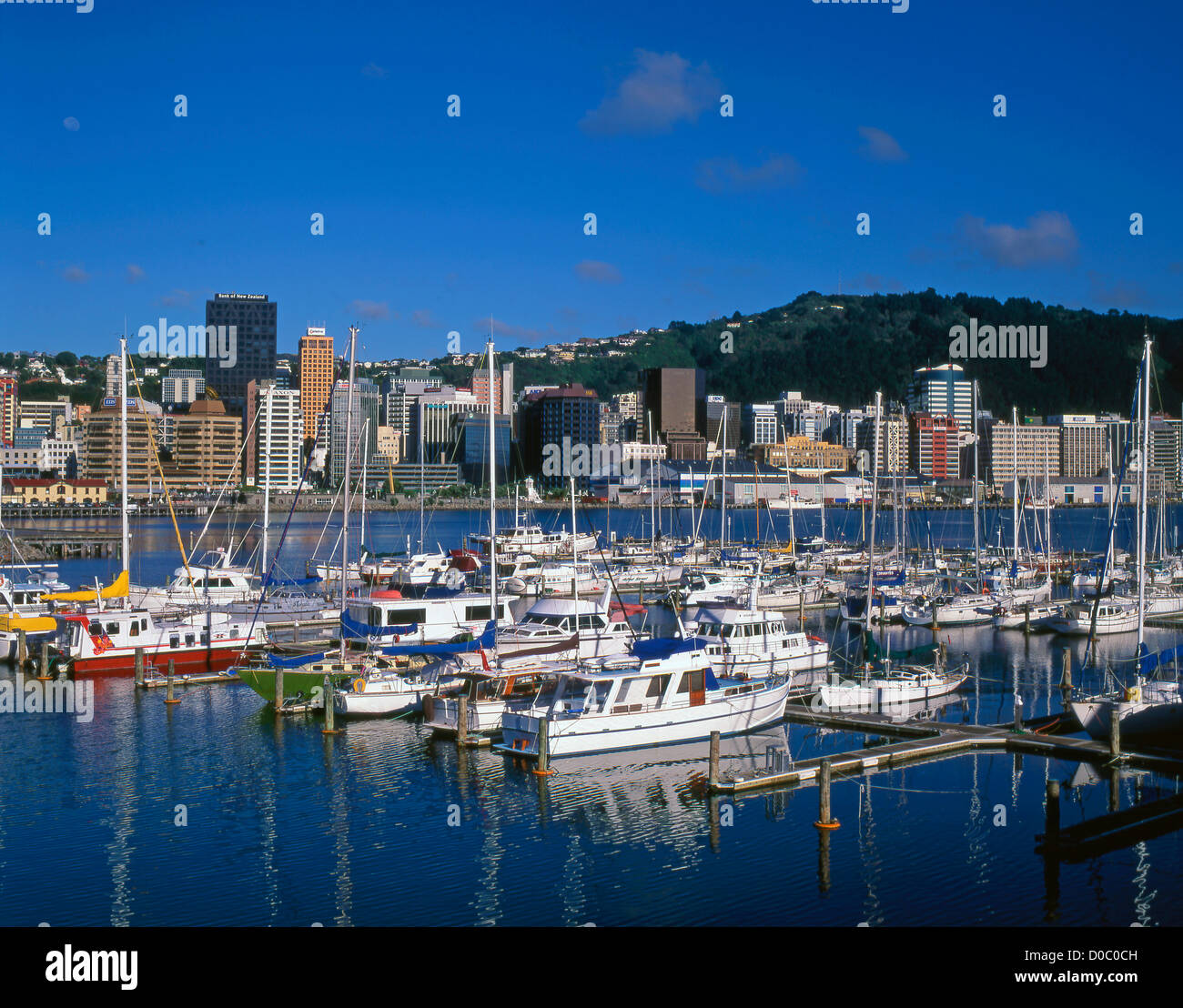 New Zealand, Wellington, skyline, harbor, downtown, panorama Stock ...