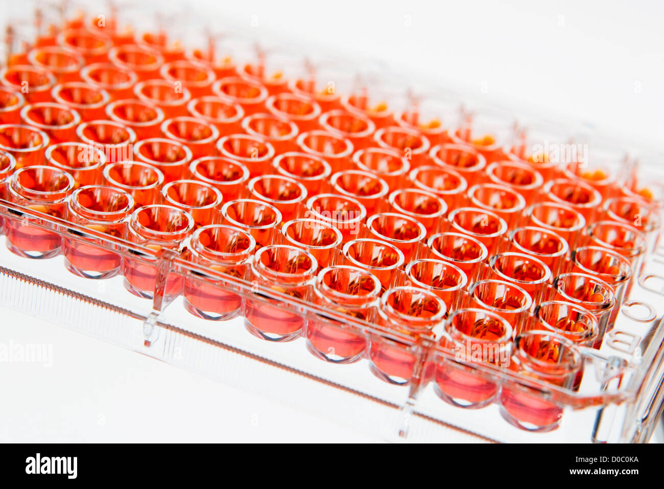 96 well hi-res stock photography and images - Alamy
