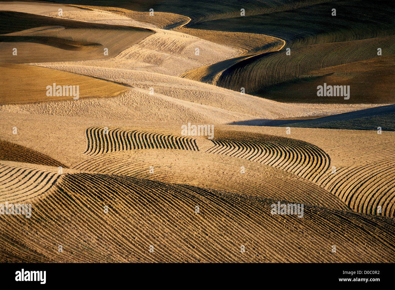 Contour Farming in the Palouse Stock Photo - Alamy