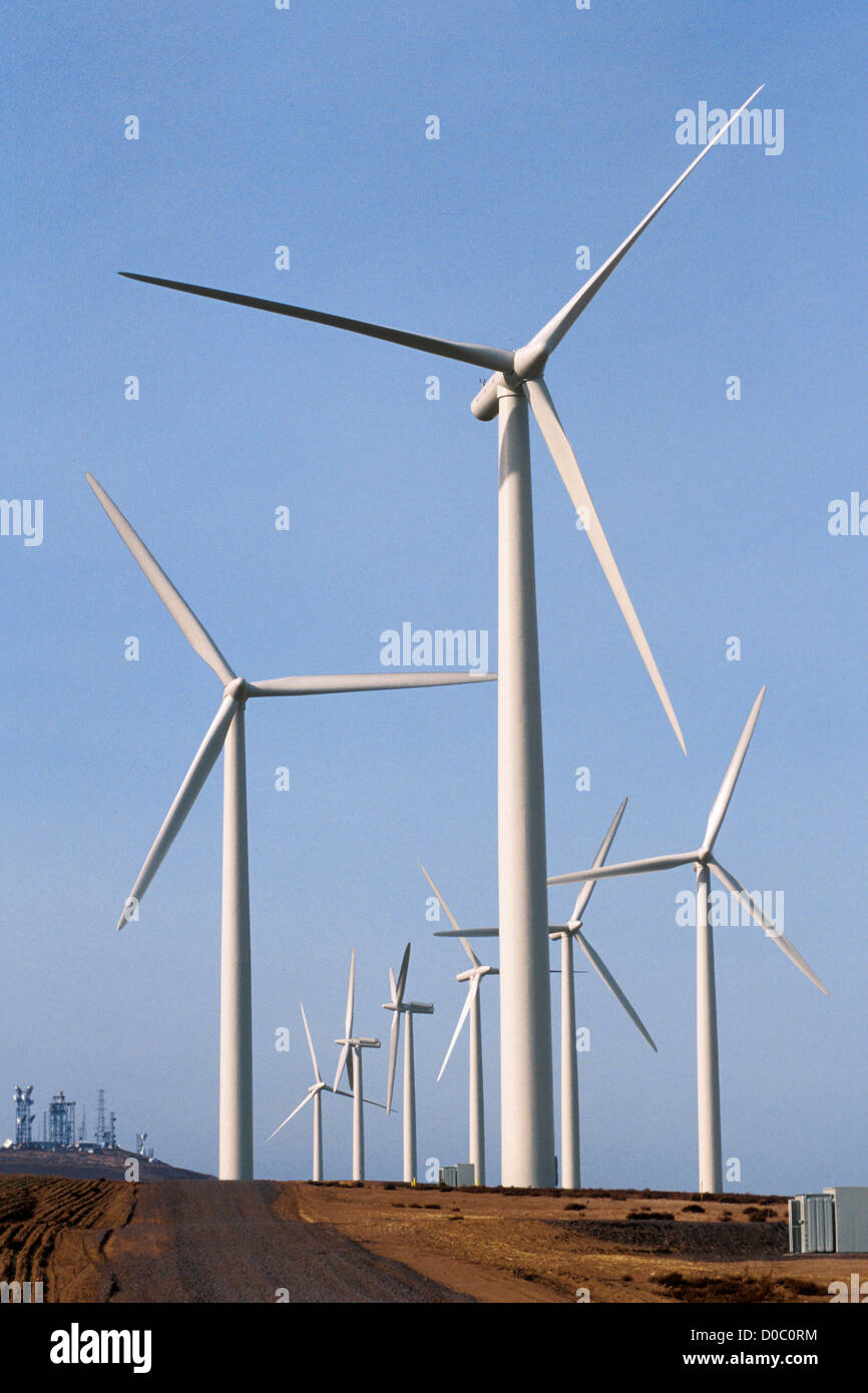 Wind Farm Towers Reach to the Sky Stock Photo - Alamy
