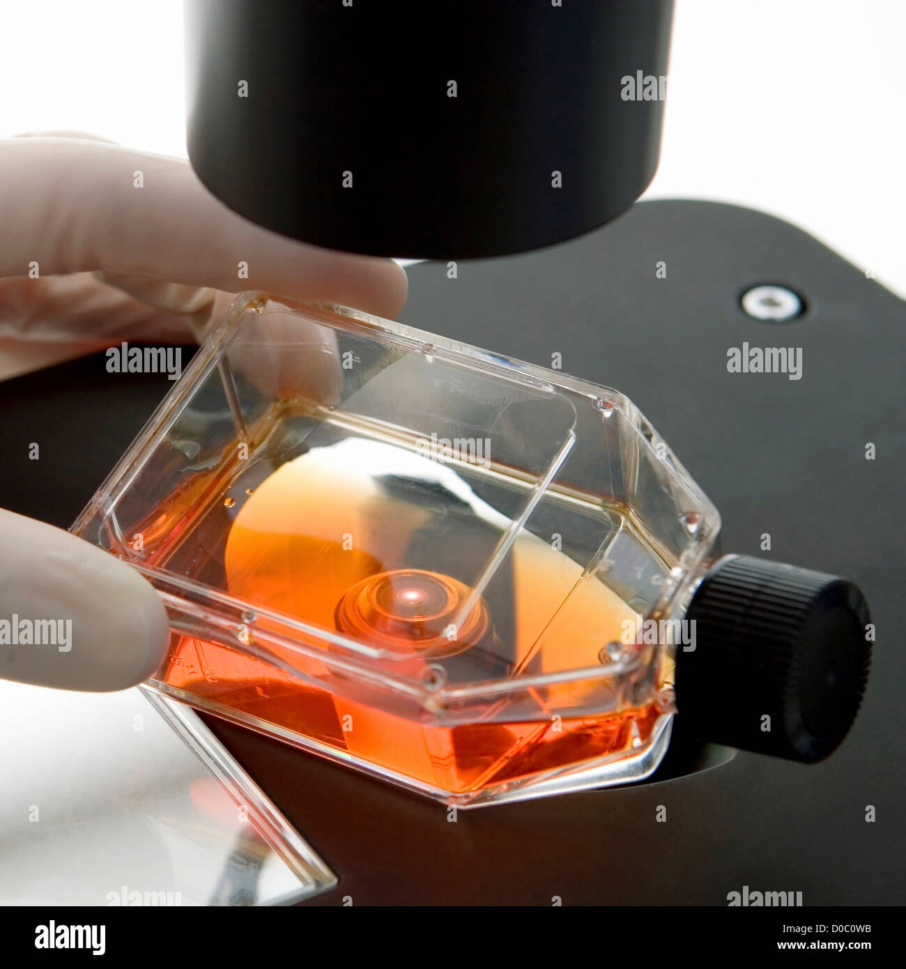 Inverted microscope hi-res stock photography and images - Alamy