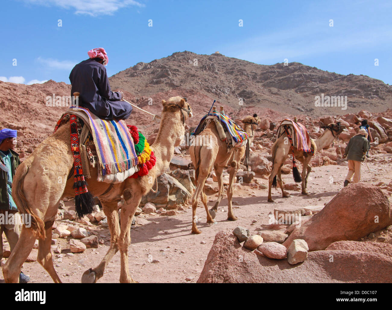Arab caravan hi-res stock photography and images - Alamy