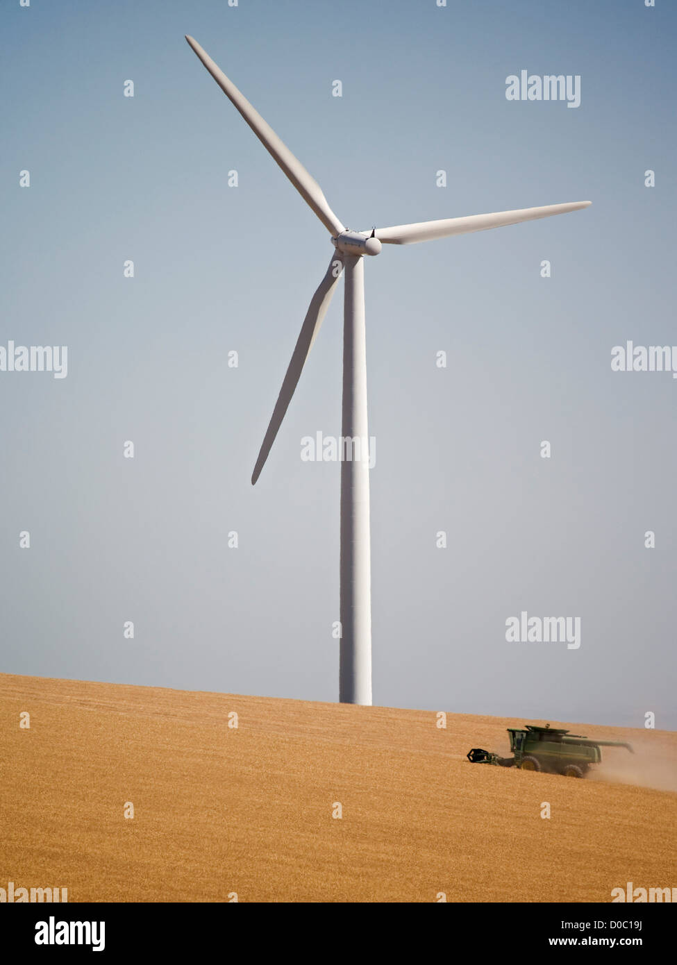 A Combine Harvests Wheat as a Wind Tower Stands Sentry Stock Photo - Alamy