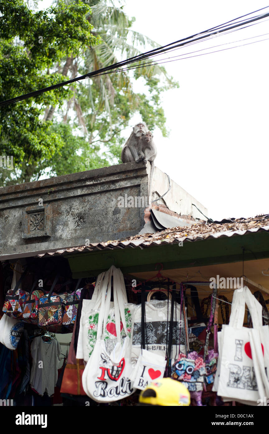 While vendors are saling their products ,a monkey father is staring the ...