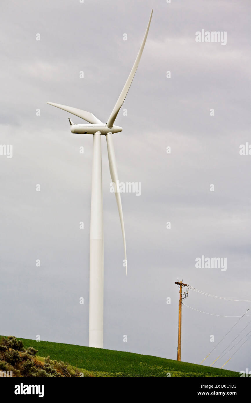 A Single Wind Tower Dwarfs an Electrical Pole Stock Photo - Alamy