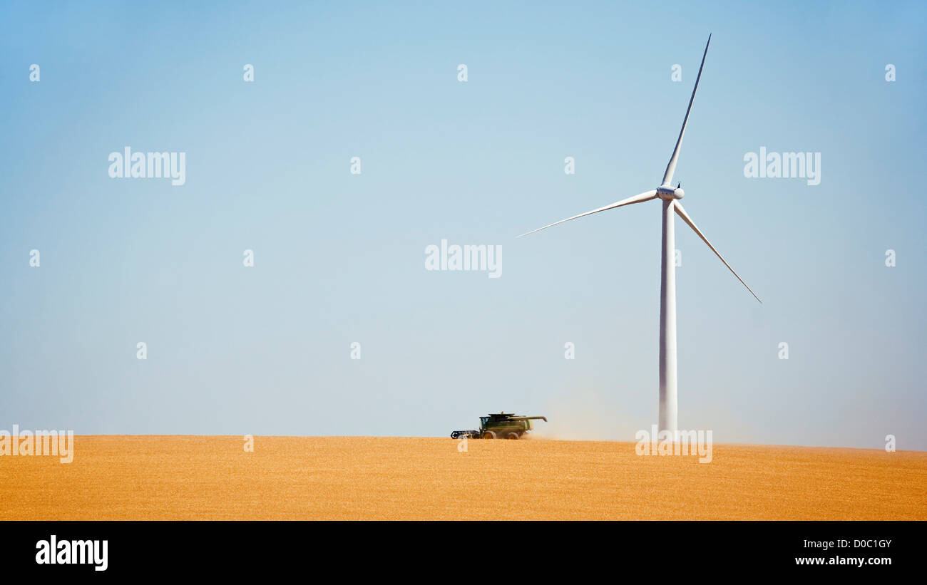 A Combine Harvests Wheat as a Wind Tower Stands Sentry Stock Photo - Alamy