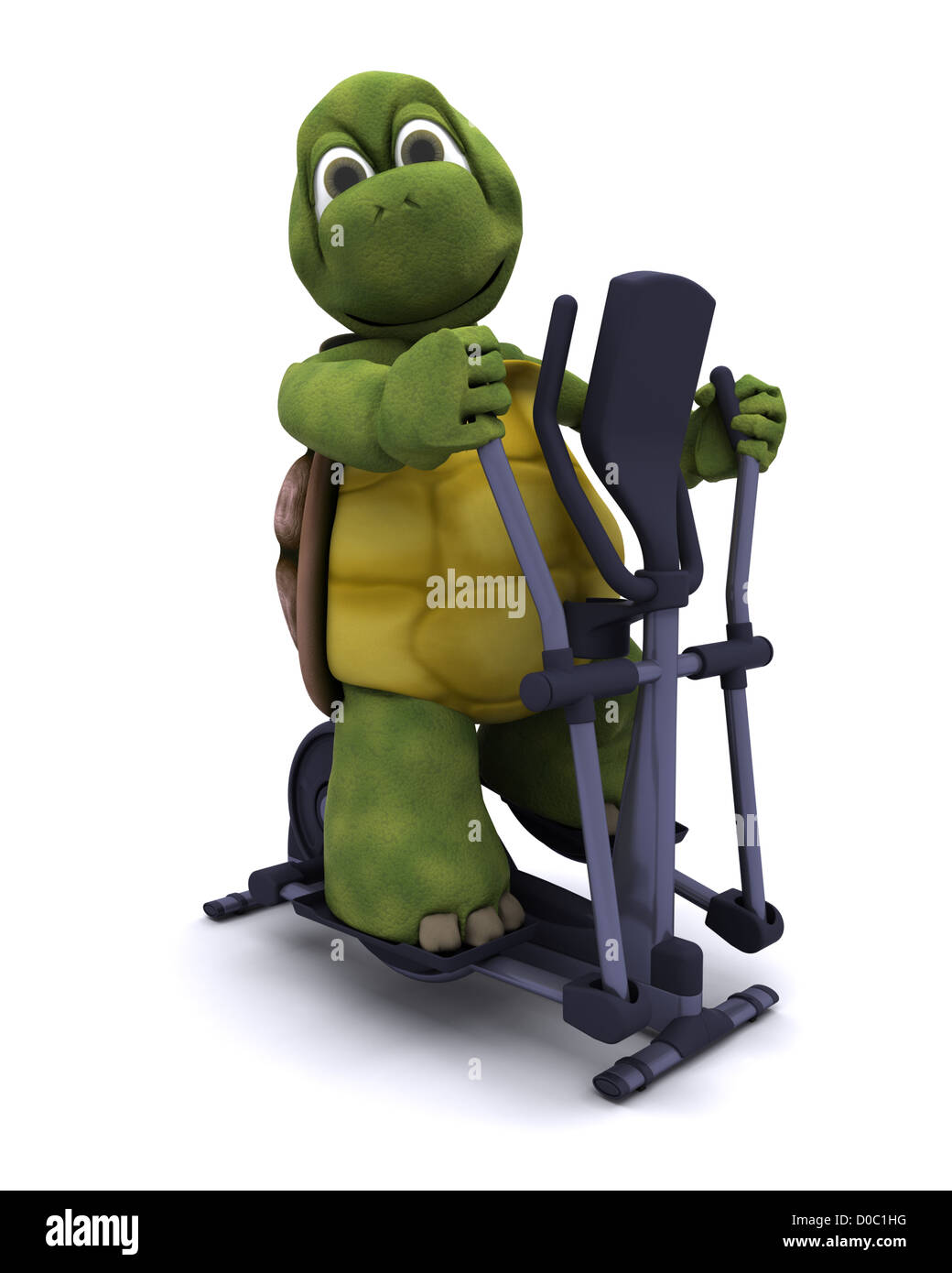 Turtle gym hi-res stock photography and images - Alamy