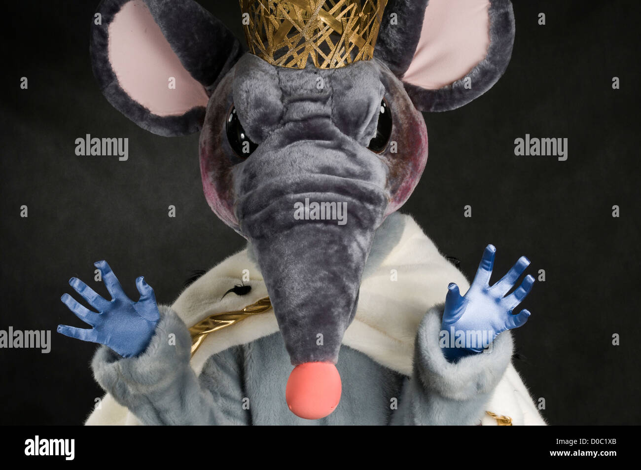 Mouse king costume actor studio hi-res stock photography and images - Alamy