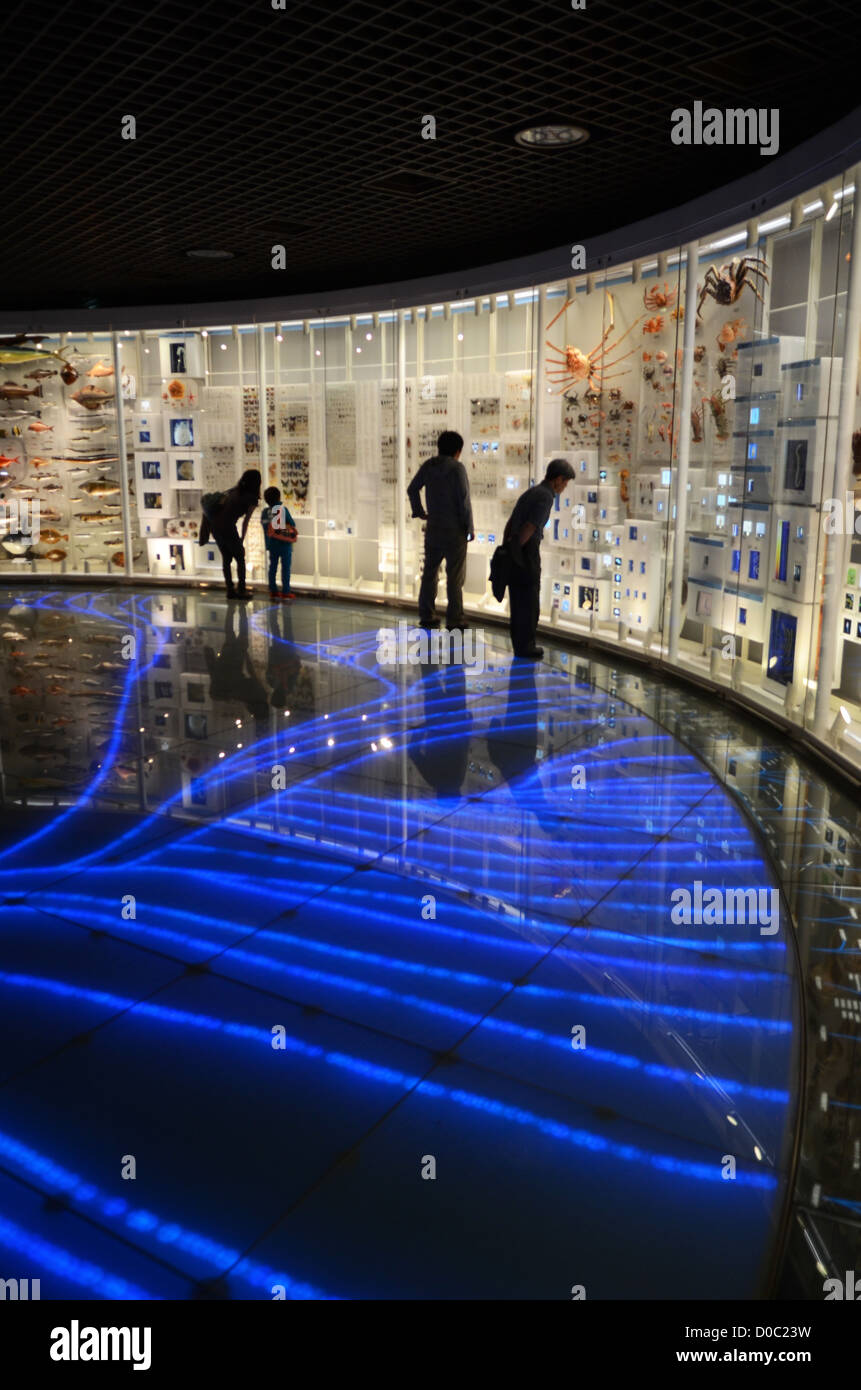 National Museum of Nature and Science, Tokyo Stock Photo - Alamy