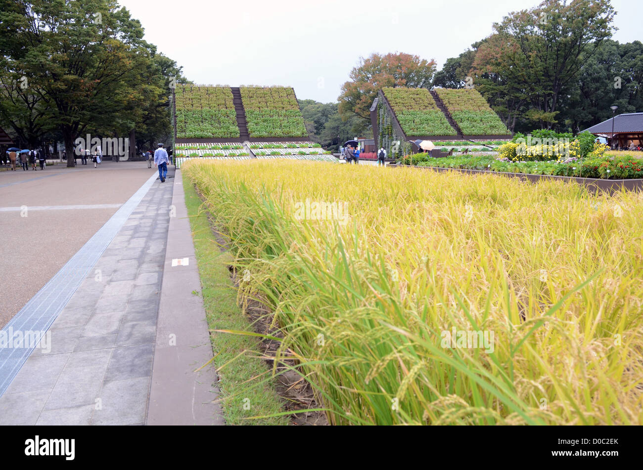 Tokyo Green 2012 at Ueno Park Stock Photo - Alamy