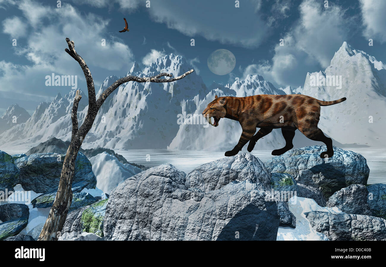 Sabre tooth tiger hi-res stock photography and images - Alamy