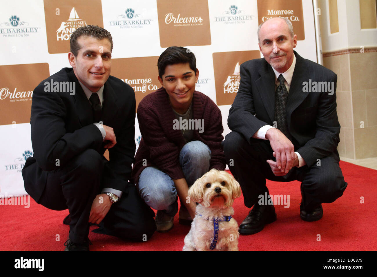 Mark Indelicato High Resolution Stock Photography and Images - Alamy