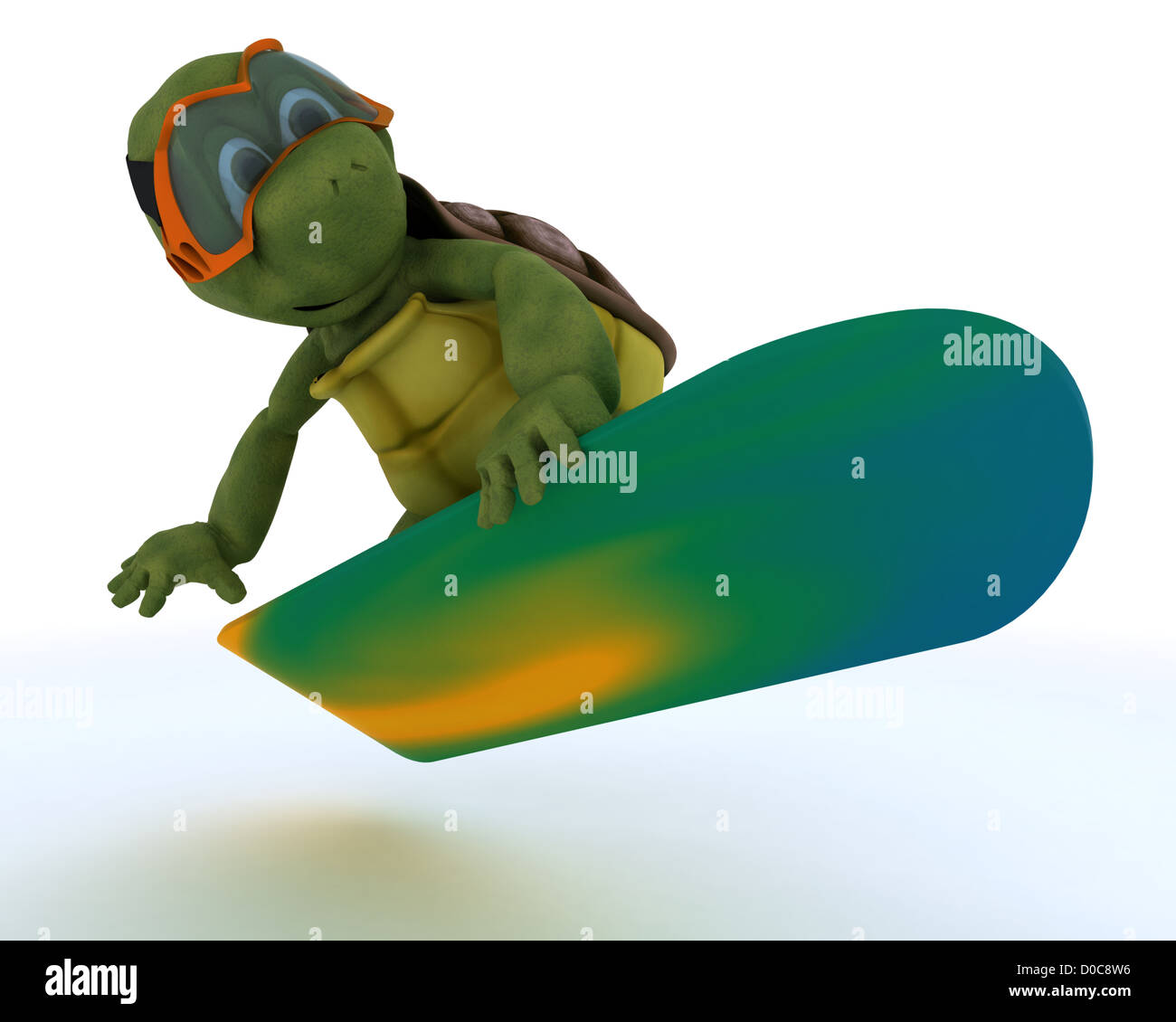 Tortoise snow hi-res stock photography and images - Alamy