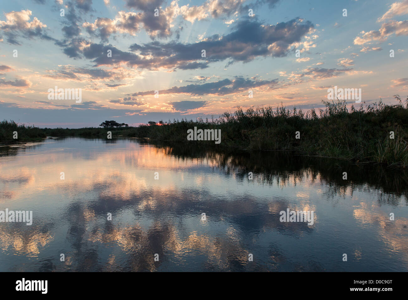 Kwando safari hi-res stock photography and images - Alamy