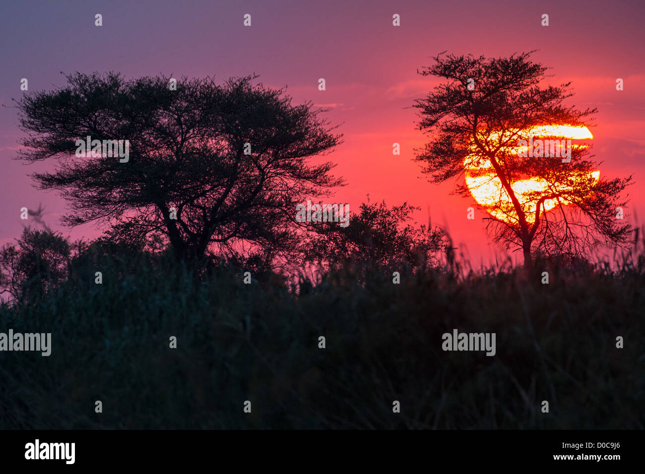 Sunset at the Kwando river, Namibia Stock Photo - Alamy