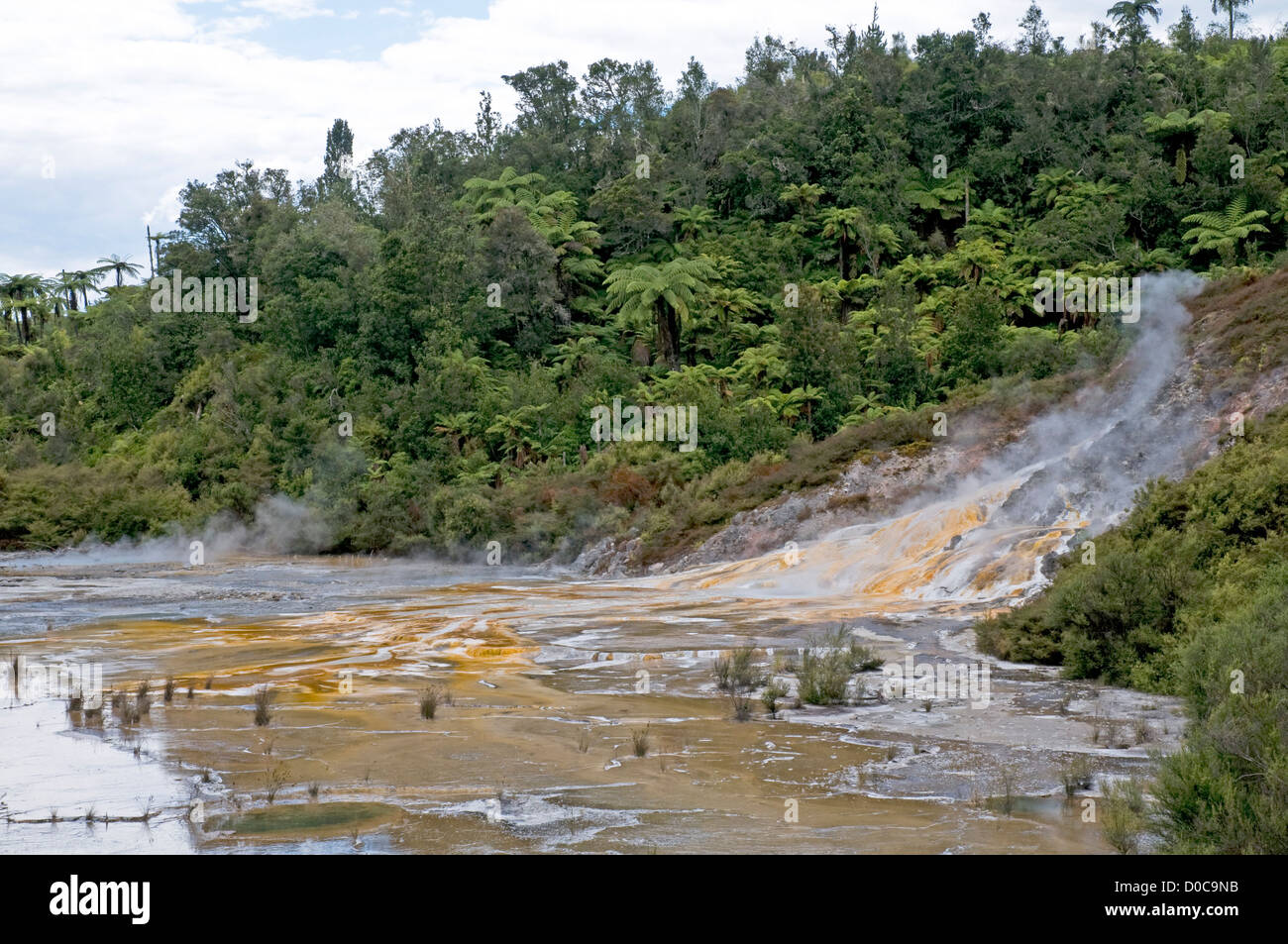 Orakei Korako, The Hidden Valley, near Taupo, New Zealand Stock Photo ...