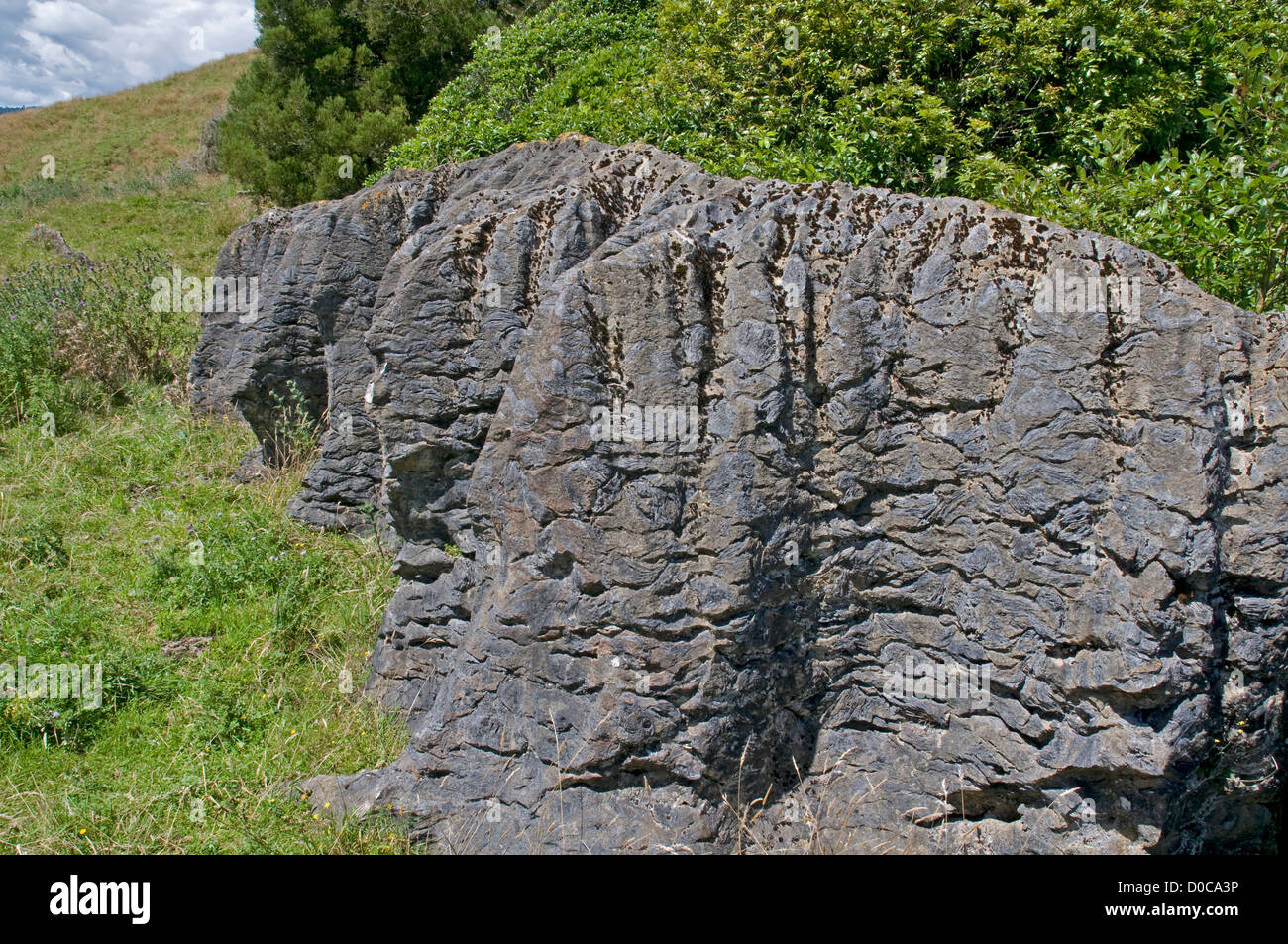 Eroded limestone rocks or pancake rocks near the Piripiri caves in the ...