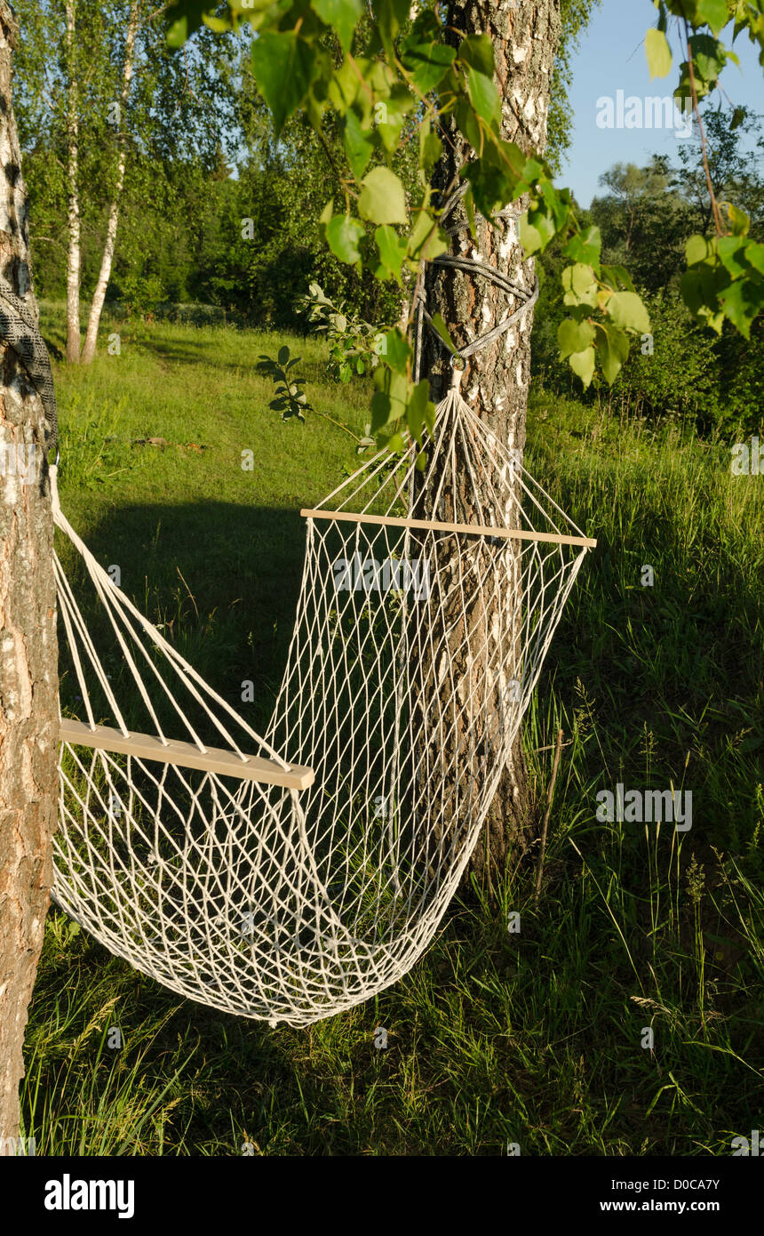 hammock forest trees sunlight empty hanging nobody Stock Photo - Alamy