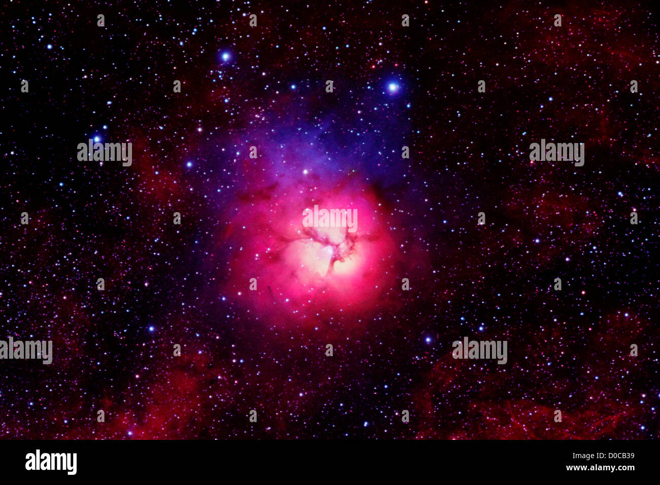Trifid hi-res stock photography and images - Alamy