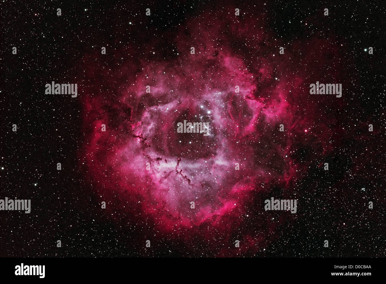 The Rosette Nebula in Monoceros. open star cluster in center nebula is NGC 2244. nebula itself ...